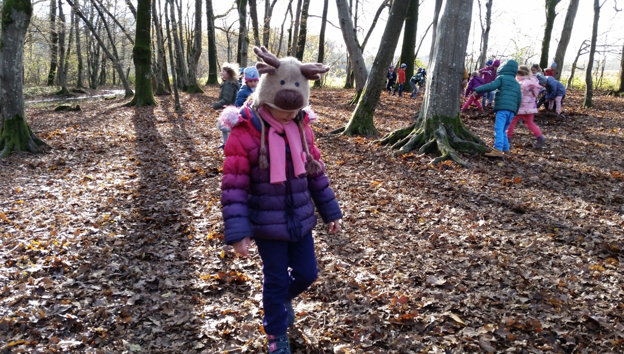 Index of /assets/img/